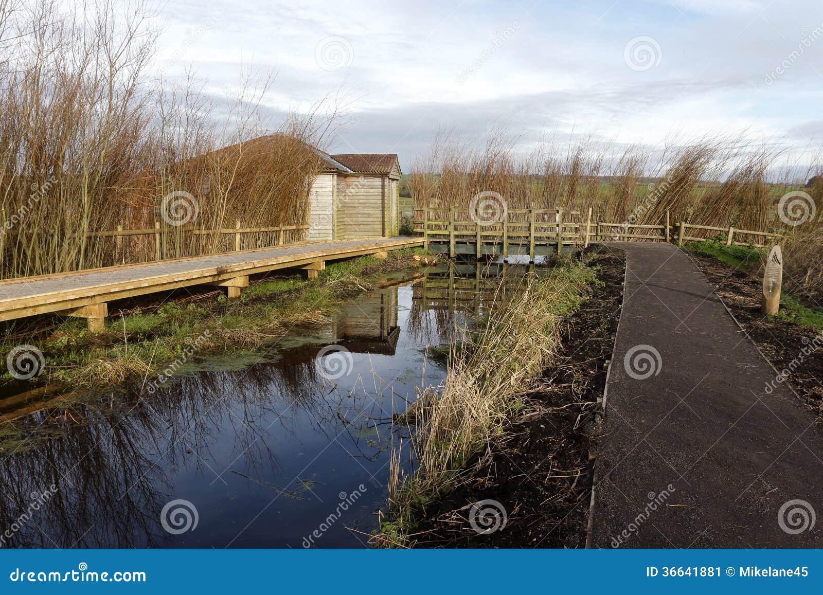 Greylake RSPB Reserve stock image. Image of river, reflection - 36641881