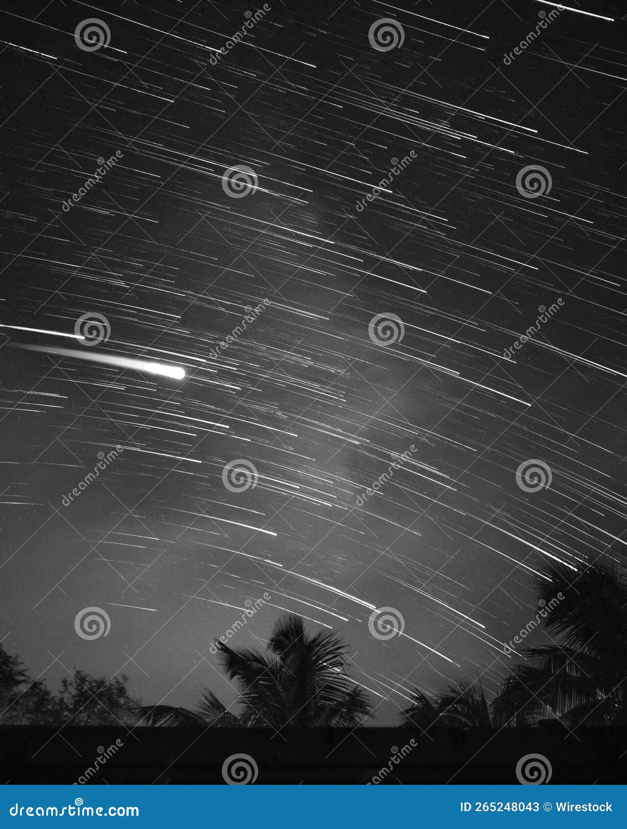 Greyscale of the Effect of Shiny Falling Stars in the Night Sky Stock ...