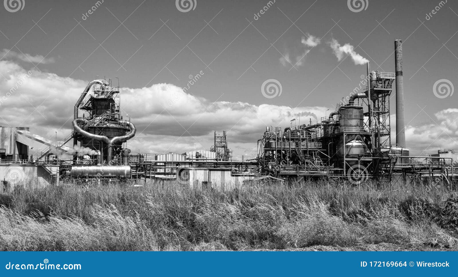 Greyscale of a Factory Surrounded by the Grass Under the Sunlight and a ...