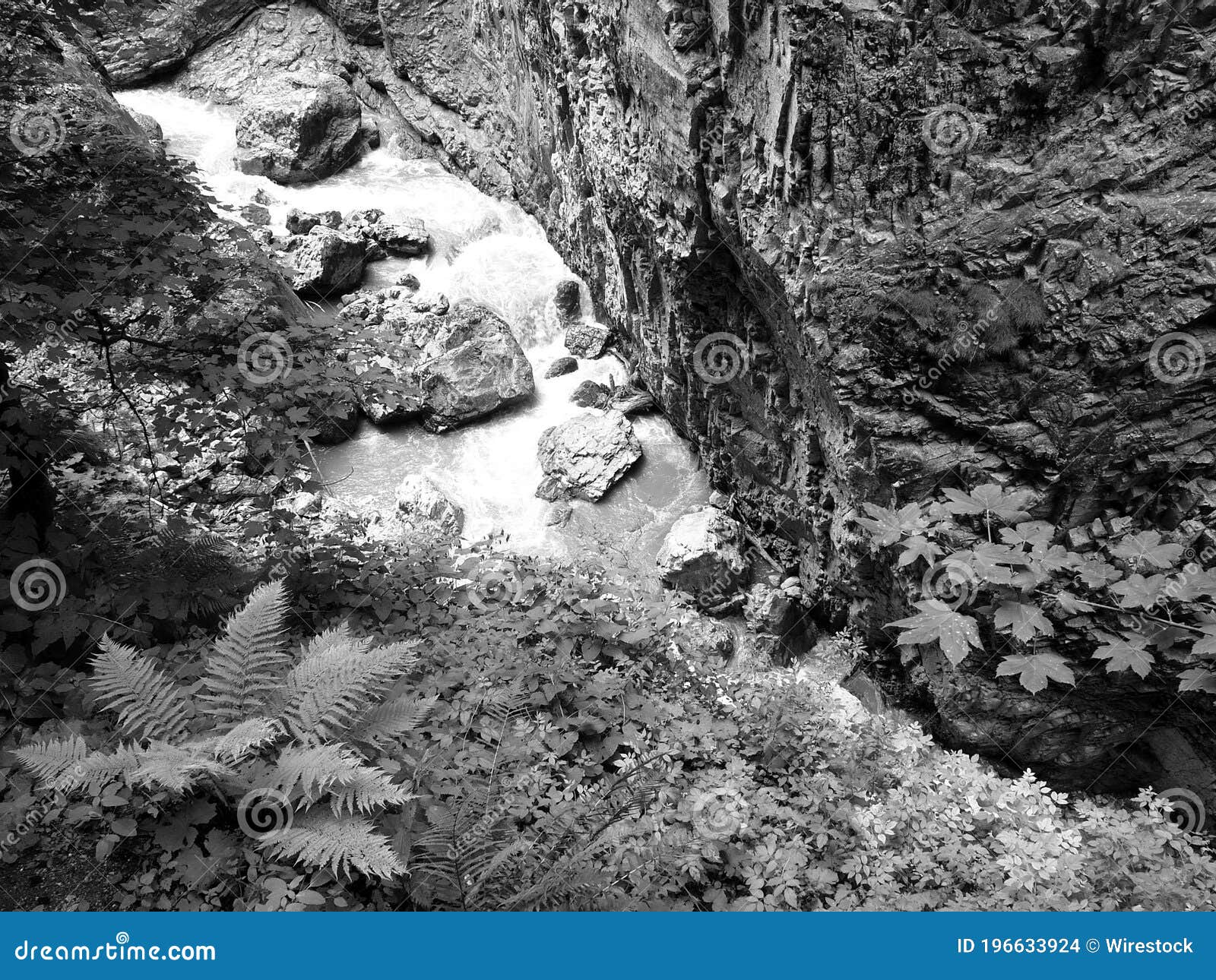 Greyscale High Angle Shot of a River Flowing among the Rocks and Cliffs ...