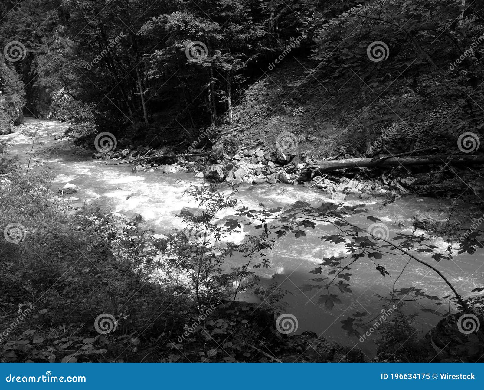 Greyscale High Angle Shot of a River Flowing among the Rocks and Cliffs ...