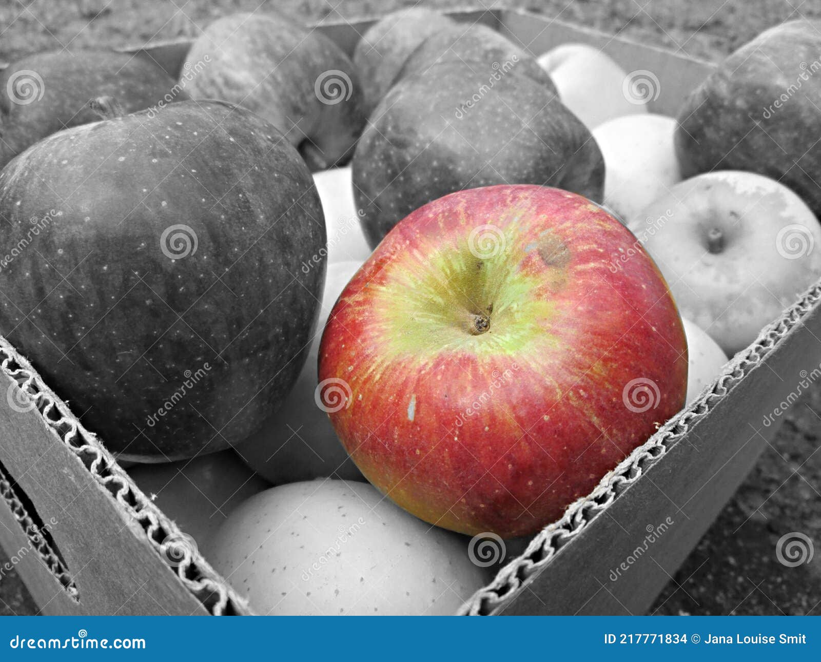 A Red Apple in a Box of Grey Apples. Stock Photo - Image of apples ...