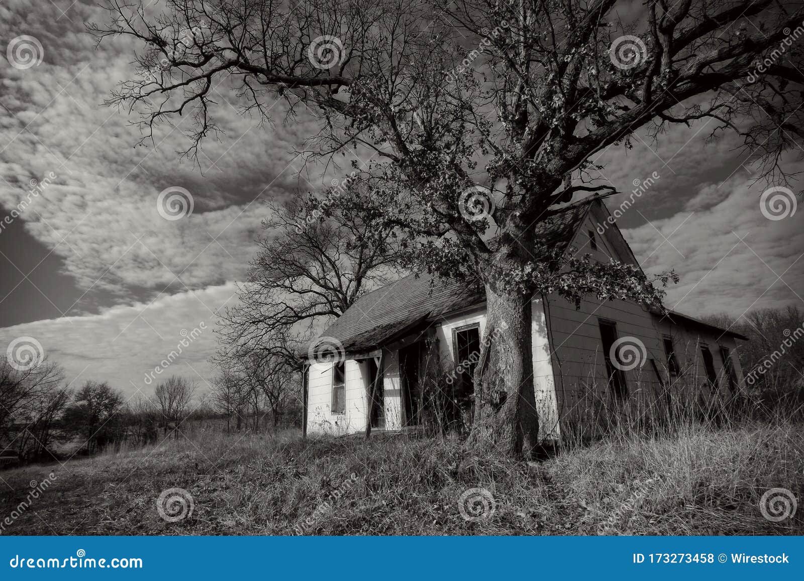 Greyscale of an Old Farmhouse Surrounded by Trees and Grass Under a ...