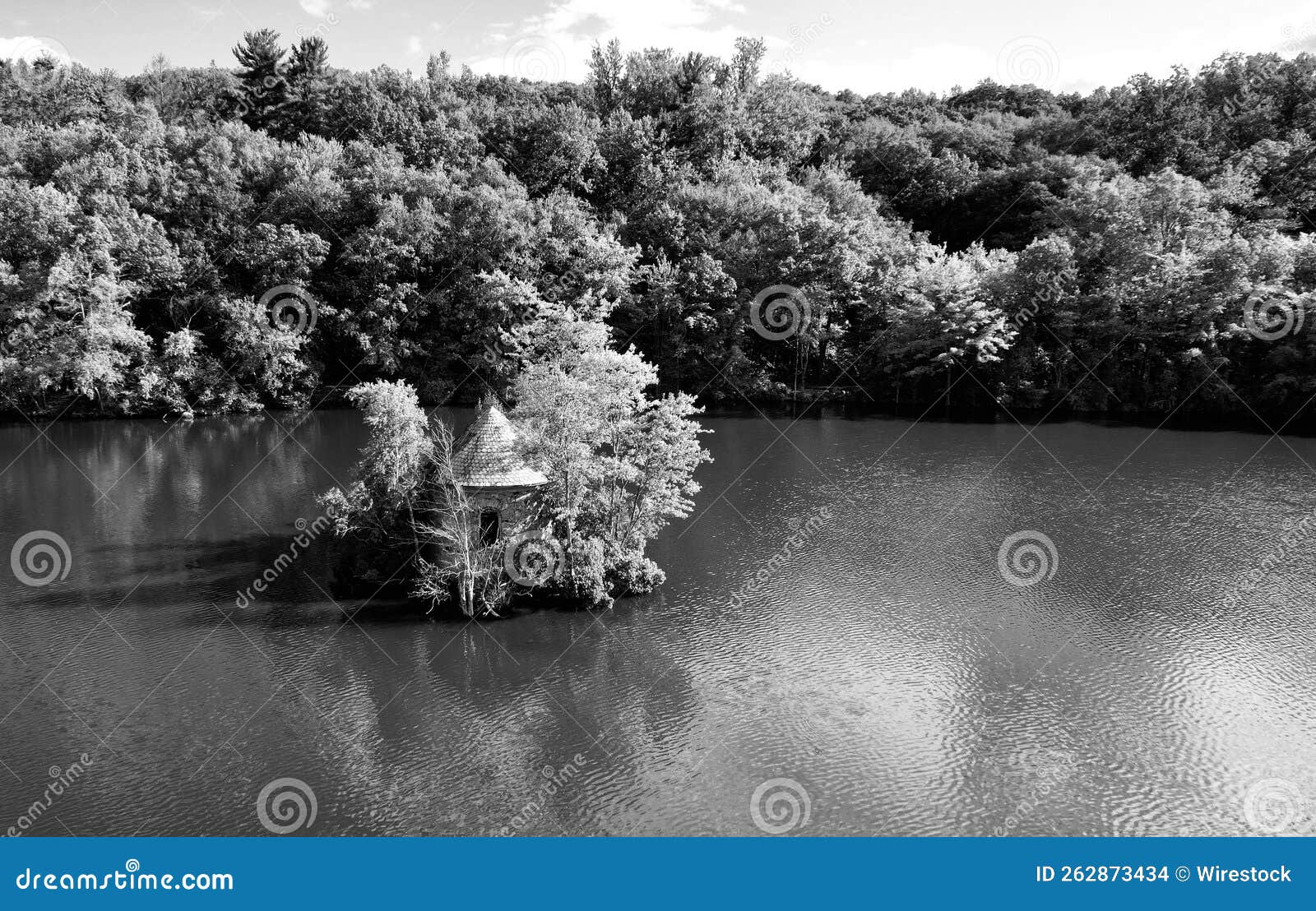 Greyscale of a River and a Building with a Forest in the Background ...