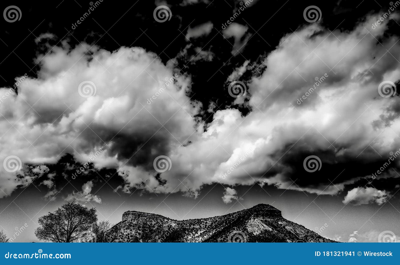 Greyscale of Rocks and Trees Under a Cloudy Sky and Sunlight at Daytime ...