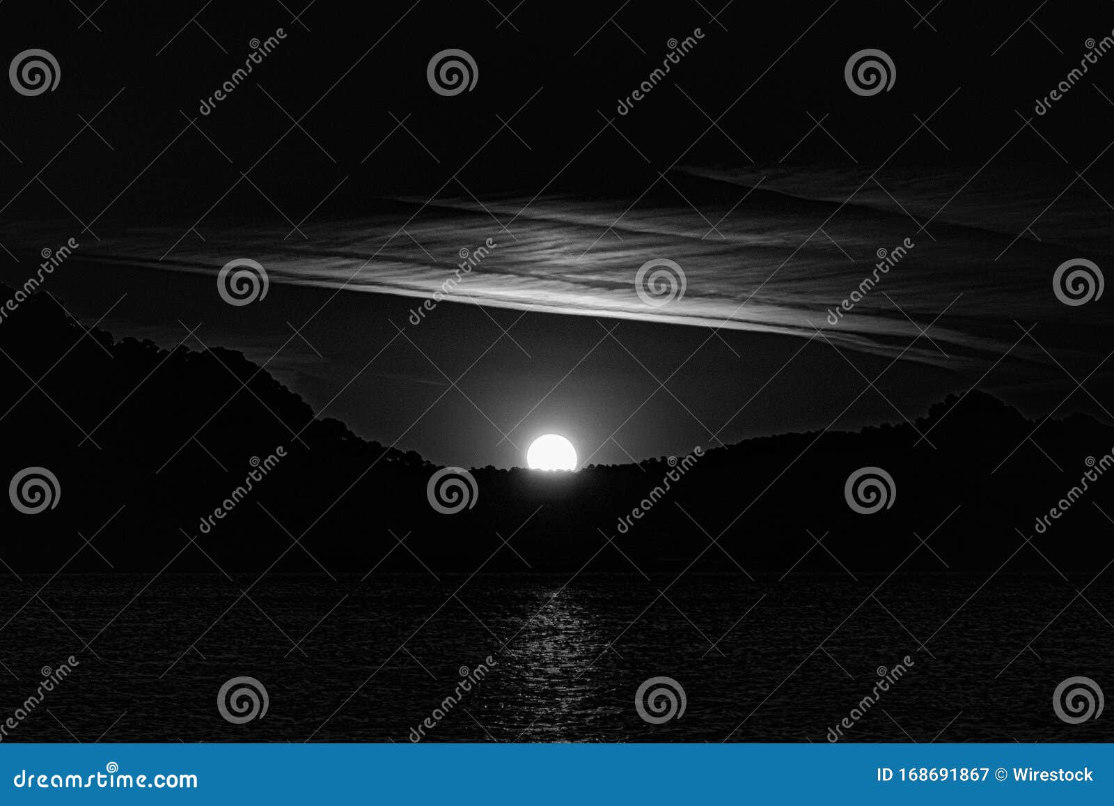 Greyscale of a Sea Surrounded by Greenery Under a Cloudy Sky with the ...