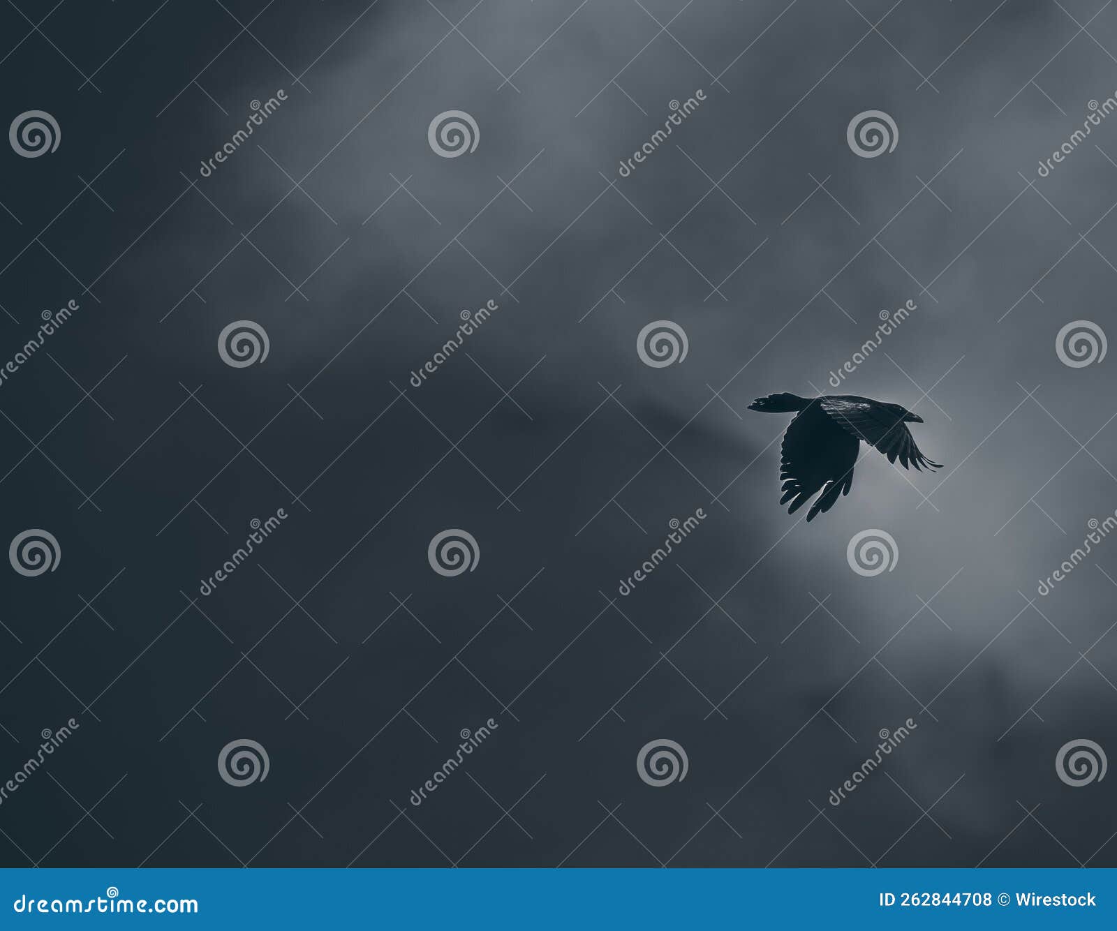 Greyscale Shot of a Black Crow Flying with Cloudy Sky in the Background ...