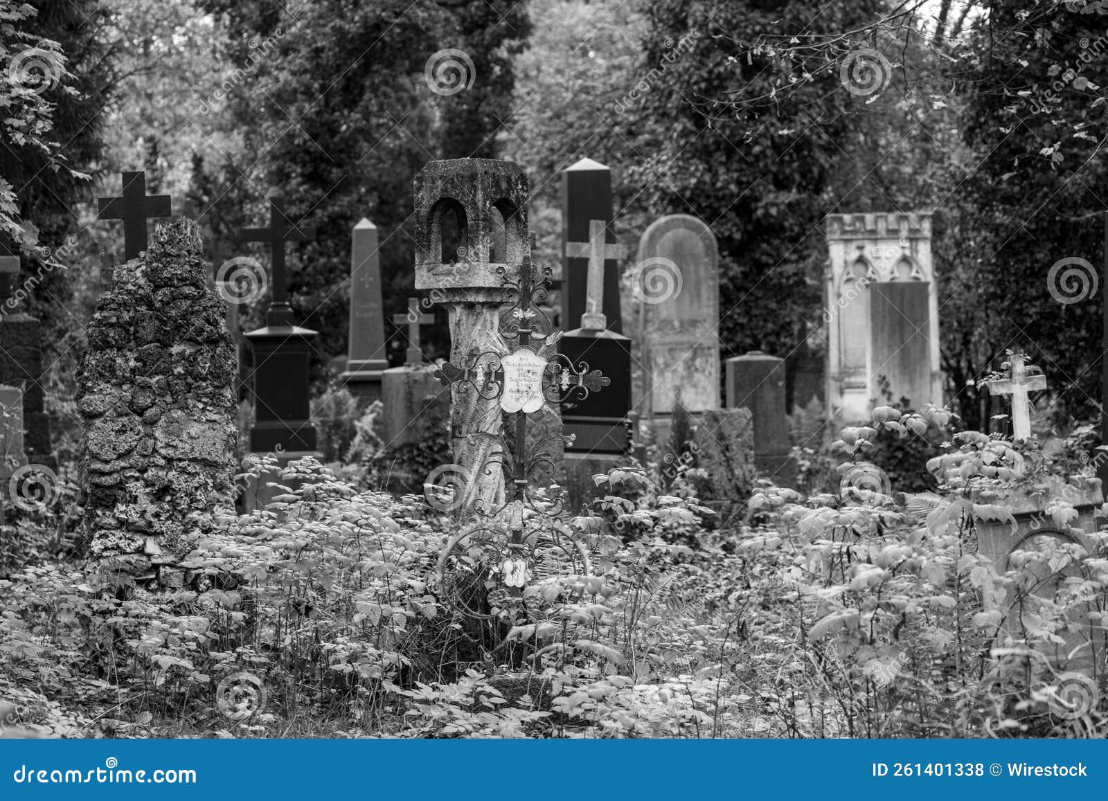 Greyscale Shot of a Cemetery in a Park Stock Photo - Image of tree ...