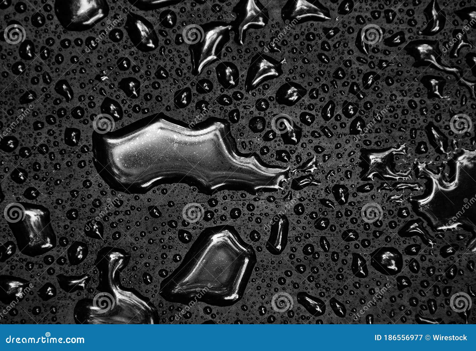 Greyscale Shot of the Drops of Water on a Wooden Surface - Perfect for ...