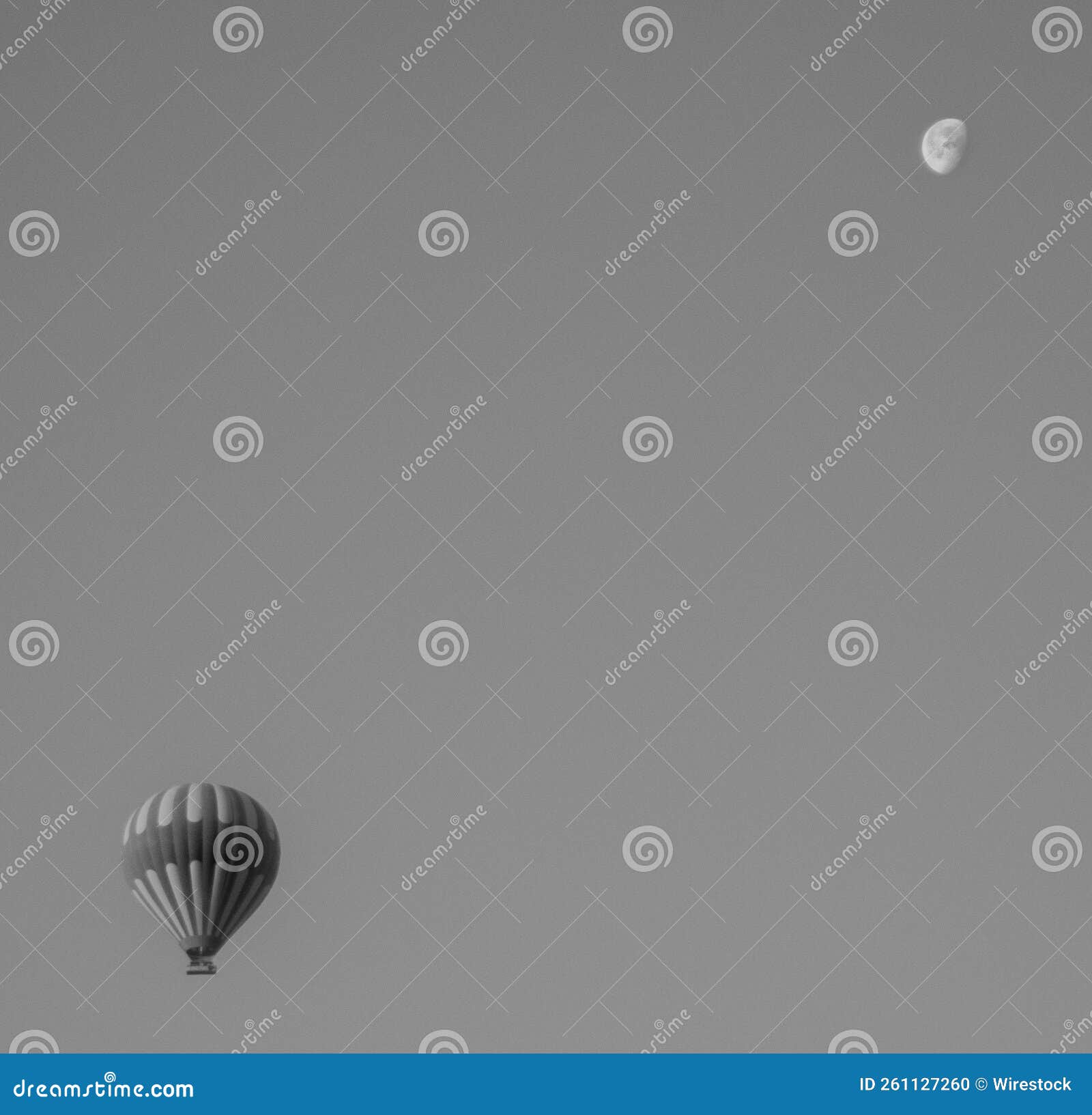 Greyscale Shot Of The Statue Of Louis IX On The Basilica Of The Sacred ...