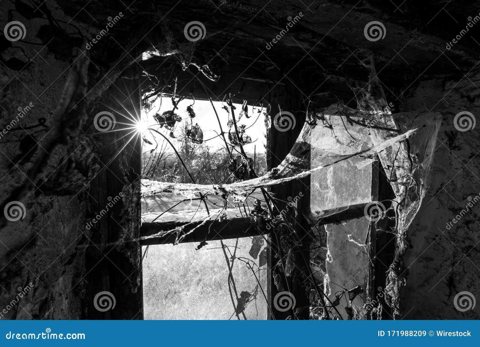 Greyscale Shot of the Inside on an Old Abandoned Building with Spider ...