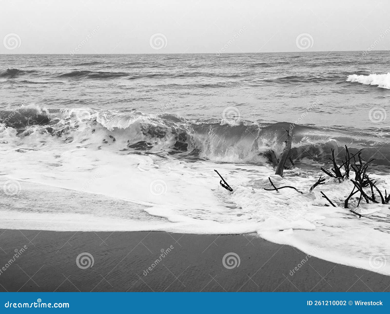 Greyscale Shot of the Ocean Waves in Richardsbay Stock Photo - Image of ...
