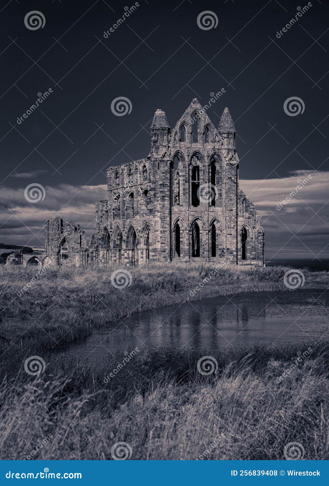 Greyscale Shot of an Old Abandoned Castle Stock Photo - Image of tower ...