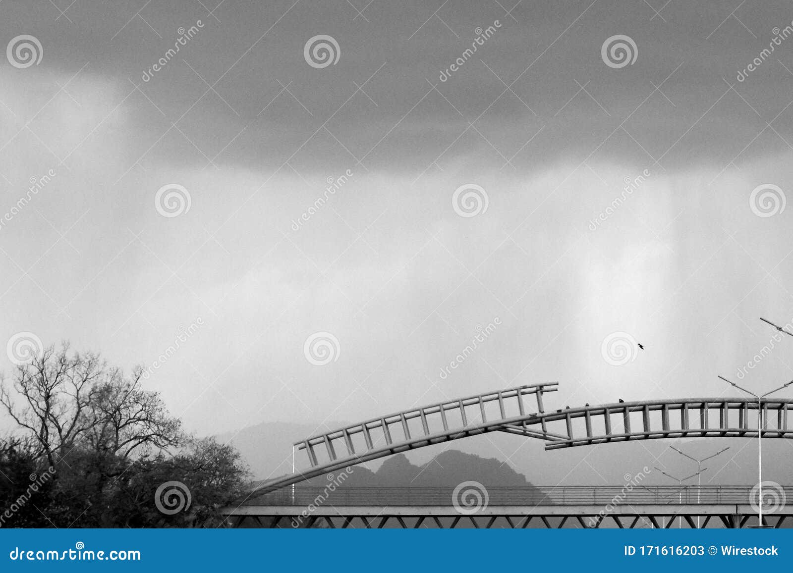 Greyscale Shot of a Small Iron Bridge Under Near the Trees Stock Image ...