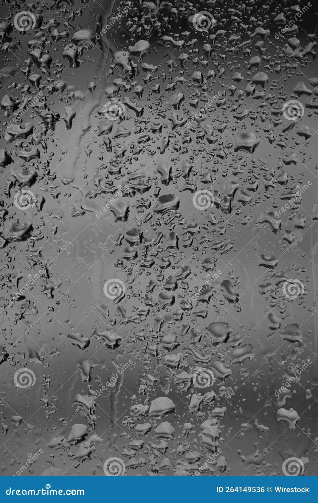 Greyscale Shot of Water Drops on a Glass Stock Photo - Image of glass ...
