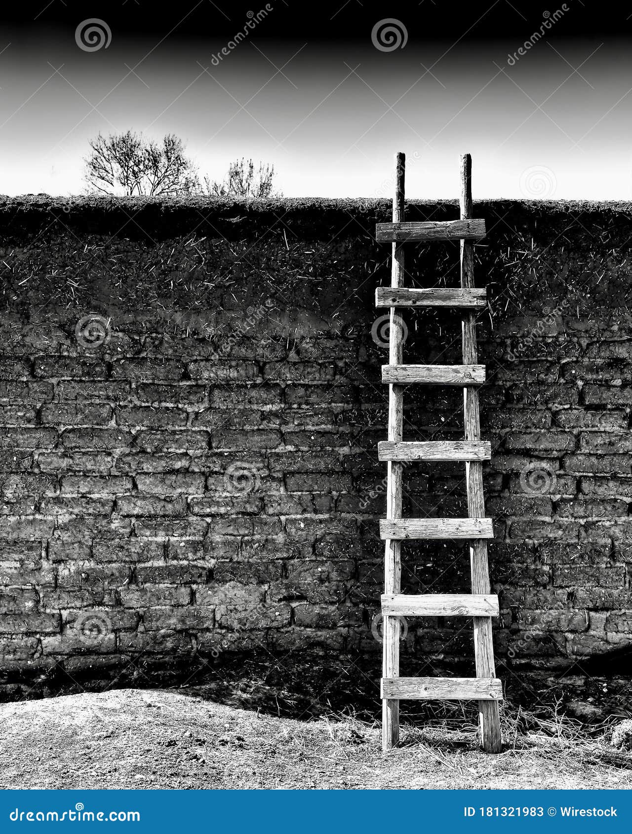 Greyscale of a Wooden Ladder Leaning on a Stone Wall Under the Sunlight ...