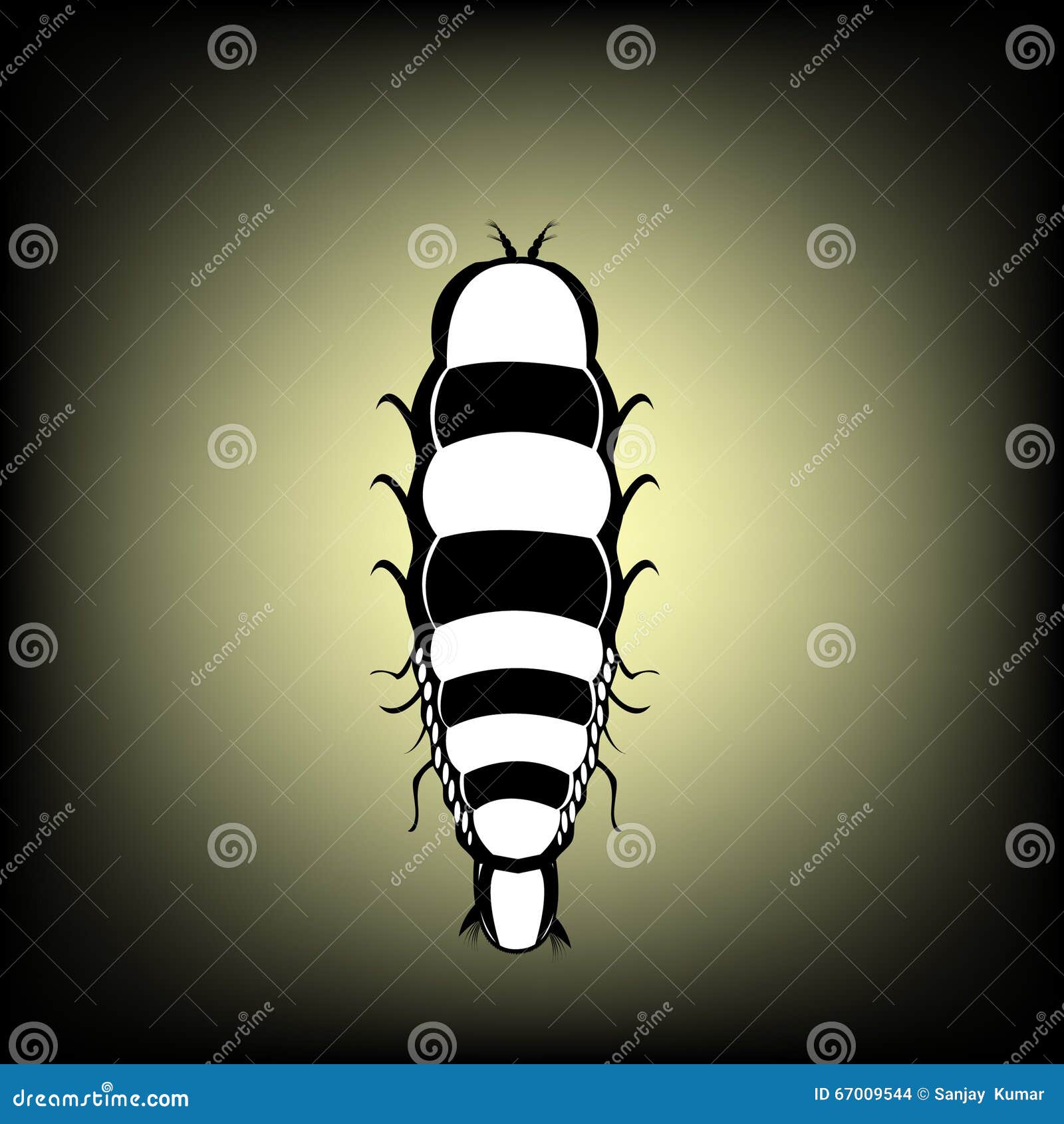 Gribble stock vector. Illustration of shape, organism - 67009544