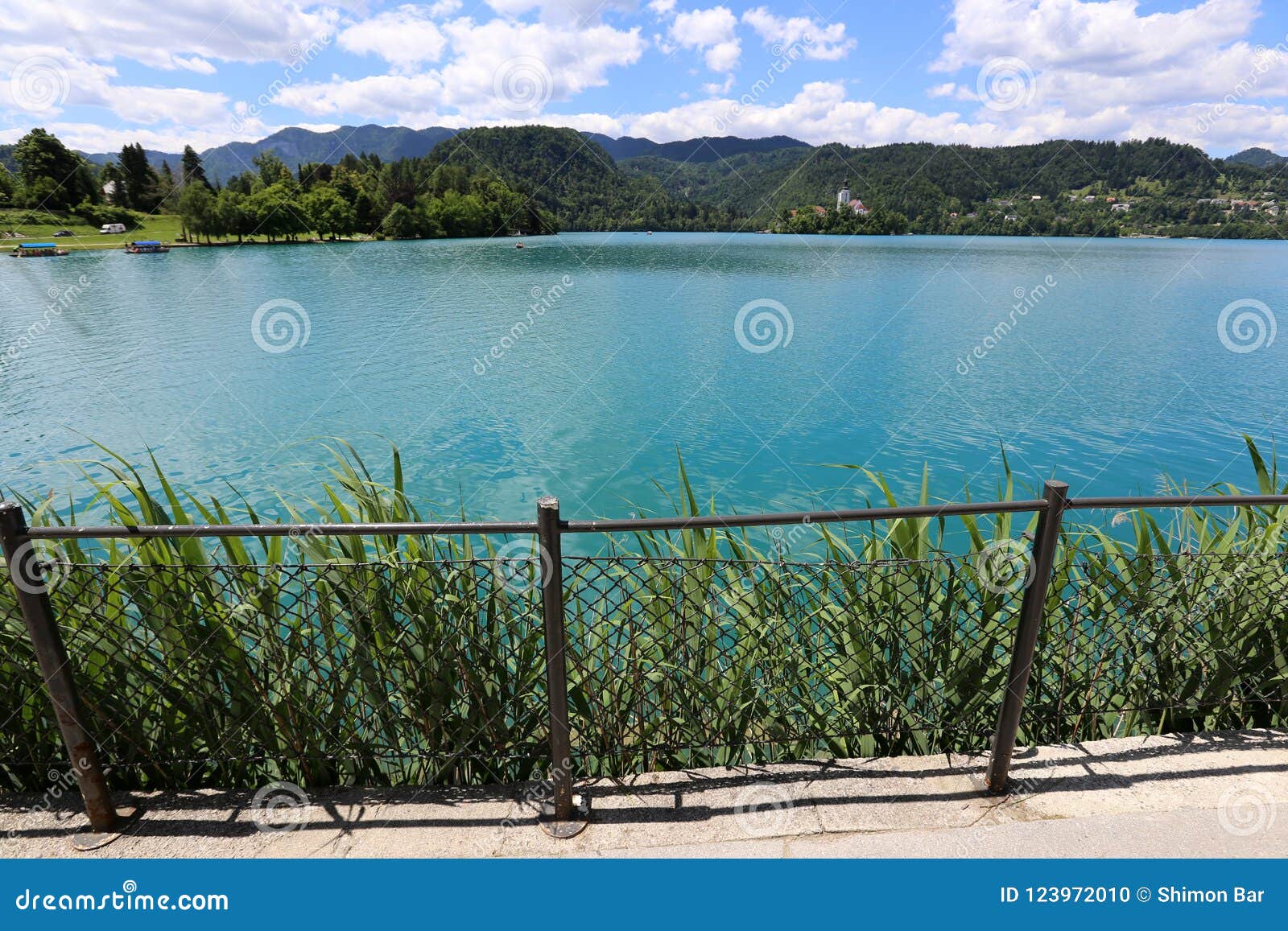Grid and barbed wire fence stock photo. Image of barbed - 123972010