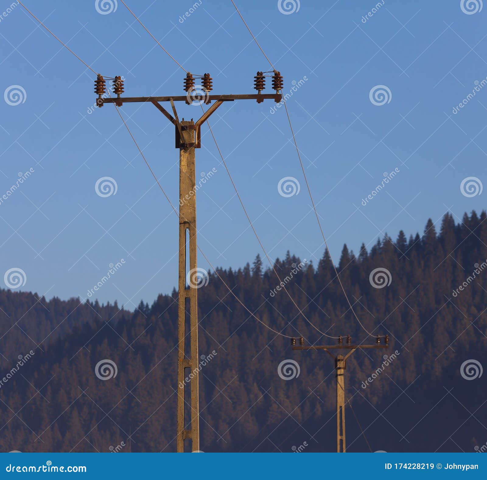 Grid of Electricity Pole and Forest Stock Image - Image of voltage ...