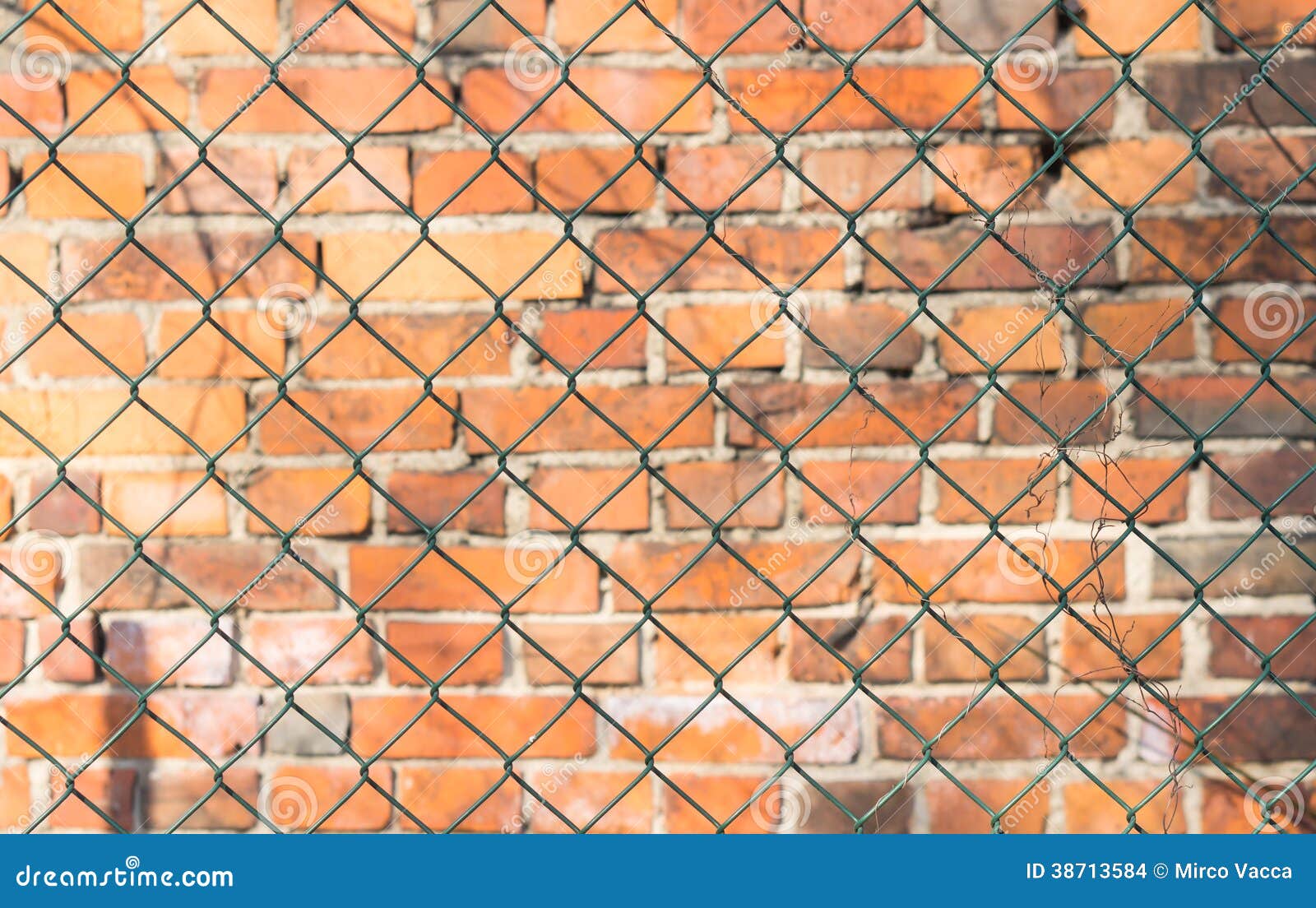 Grid fence stock photo. Image of pattern, protection - 38713584