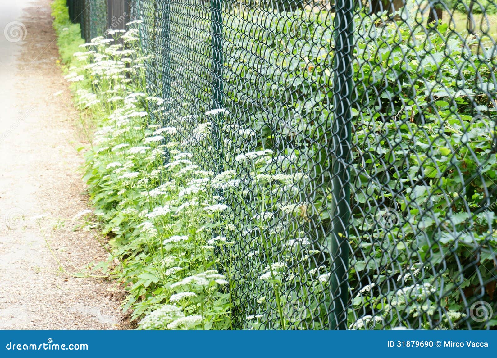 Grid fence stock photo. Image of industry, industrial - 31879690