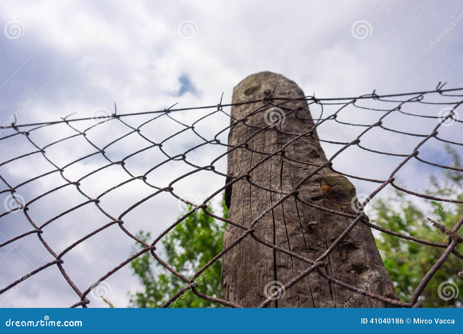 Grid fence stock photo. Image of tree, grid, twig, fence - 41040186