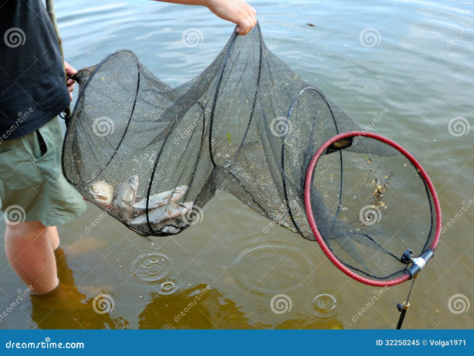 Grid with fish stock image. Image of fisherman, water - 32250245