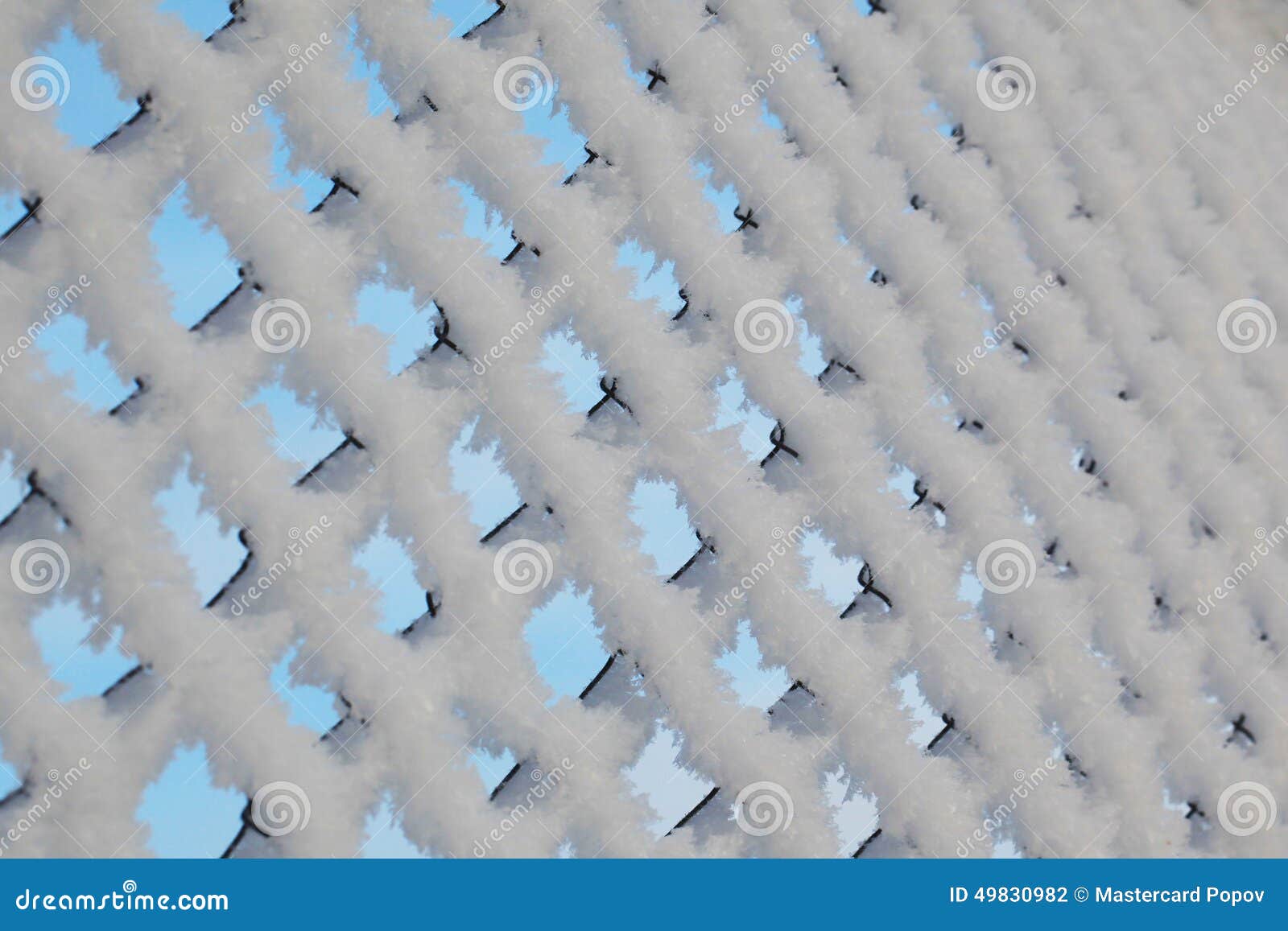 The grid in the frost stock photo. Image of covered, pattern - 49830982