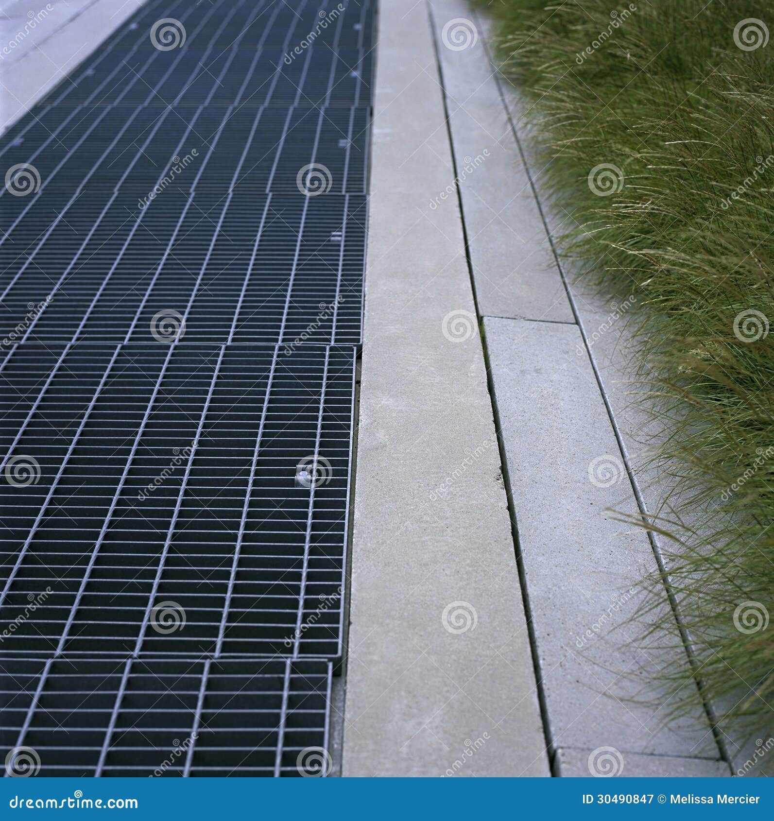 Grid And Grass Royalty-Free Stock Photography | CartoonDealer.com #30490847