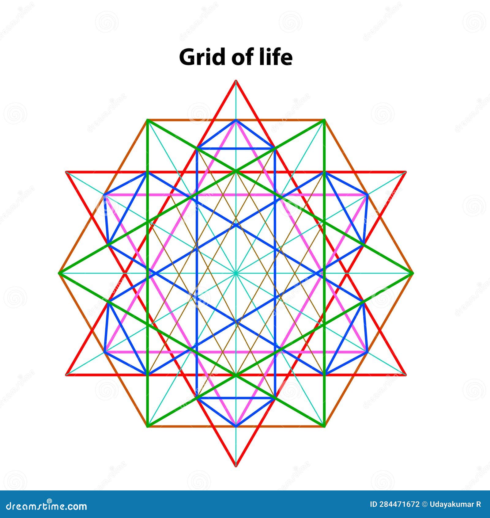 Grid of Life. Scared Geometry Vector Design Elements Color Line Art ...