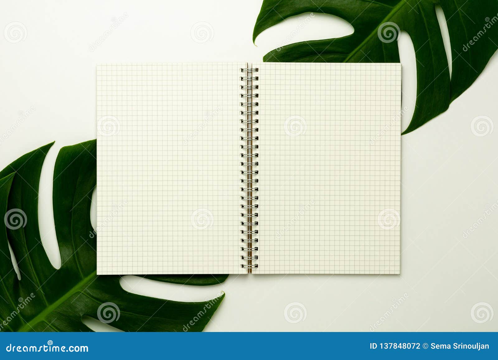 Grid Notebook and Green Leaves on White Background Stock Photo - Image ...
