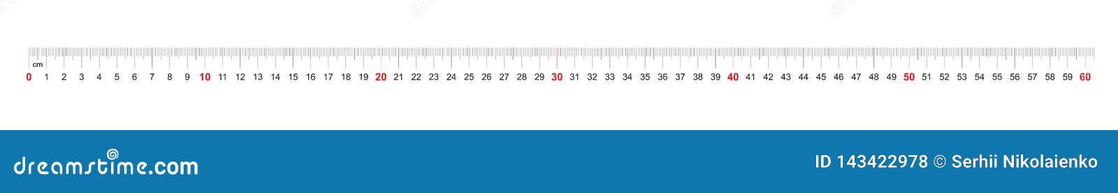 Grid For A Ruler Of 600 Millimeters, 60 Centimeters. Calibration Grid ...