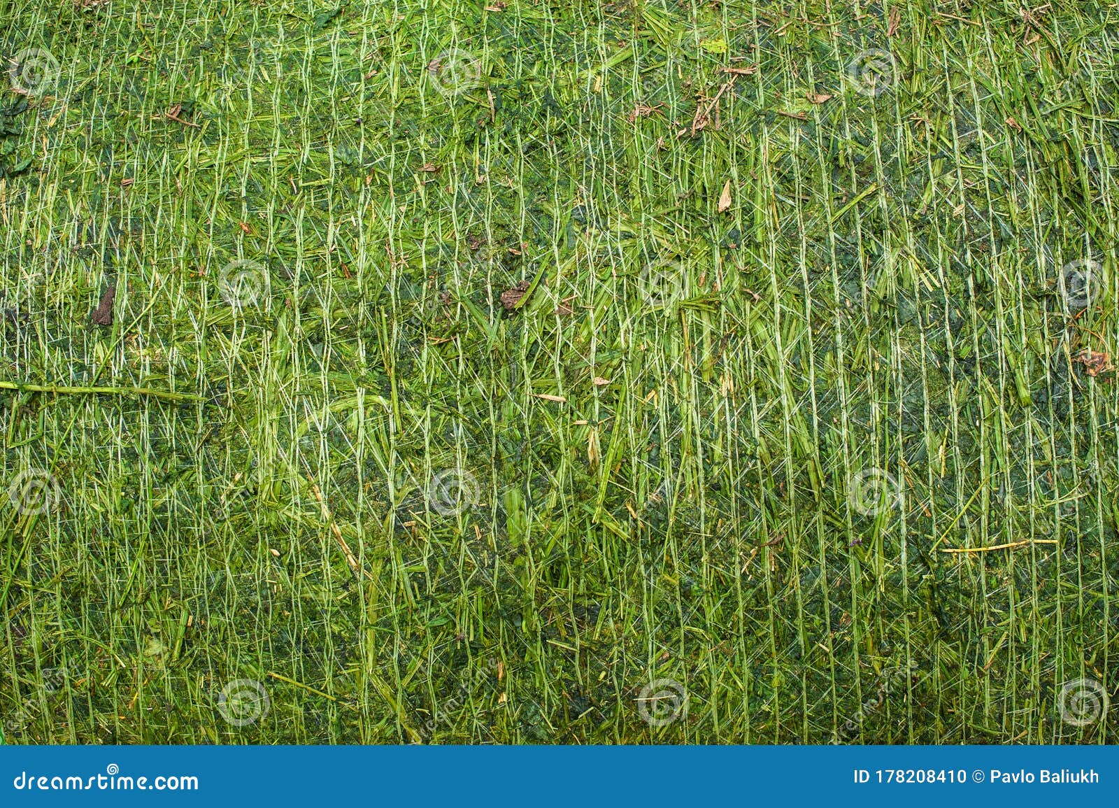 A Grid Texture of Fresh Silo in a Roll Packed with Baler, Agricultural ...