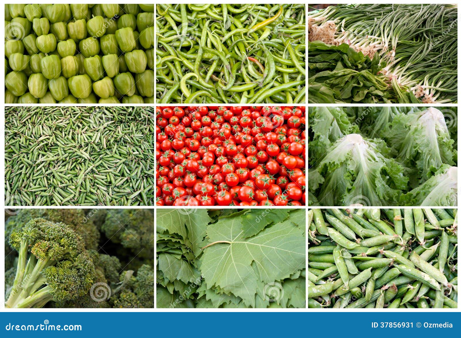Grid of Vegetables and Fruits Stock Image - Image of natural, green ...