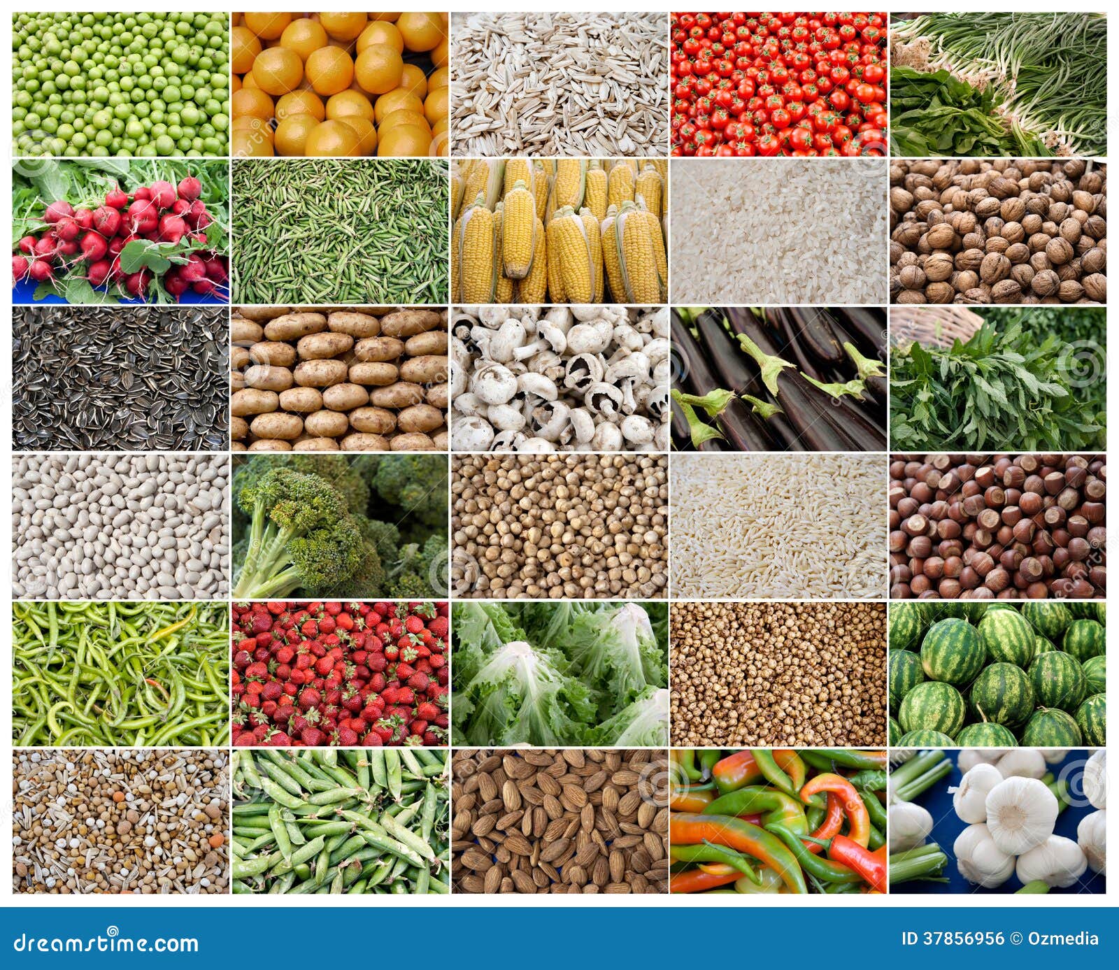 Grid of Vegetables and Fruits Stock Photo - Image of bell, leaf: 37856956