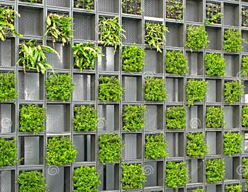 Grid wall of plants stock photo. Image of building, fern - 13850034