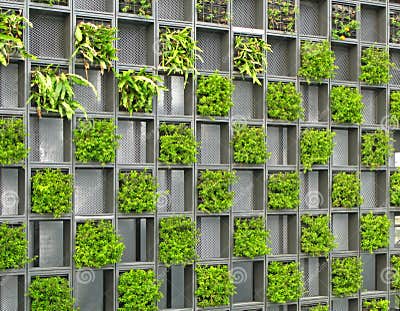 Grid wall of plants stock photo. Image of building, fern - 13850034