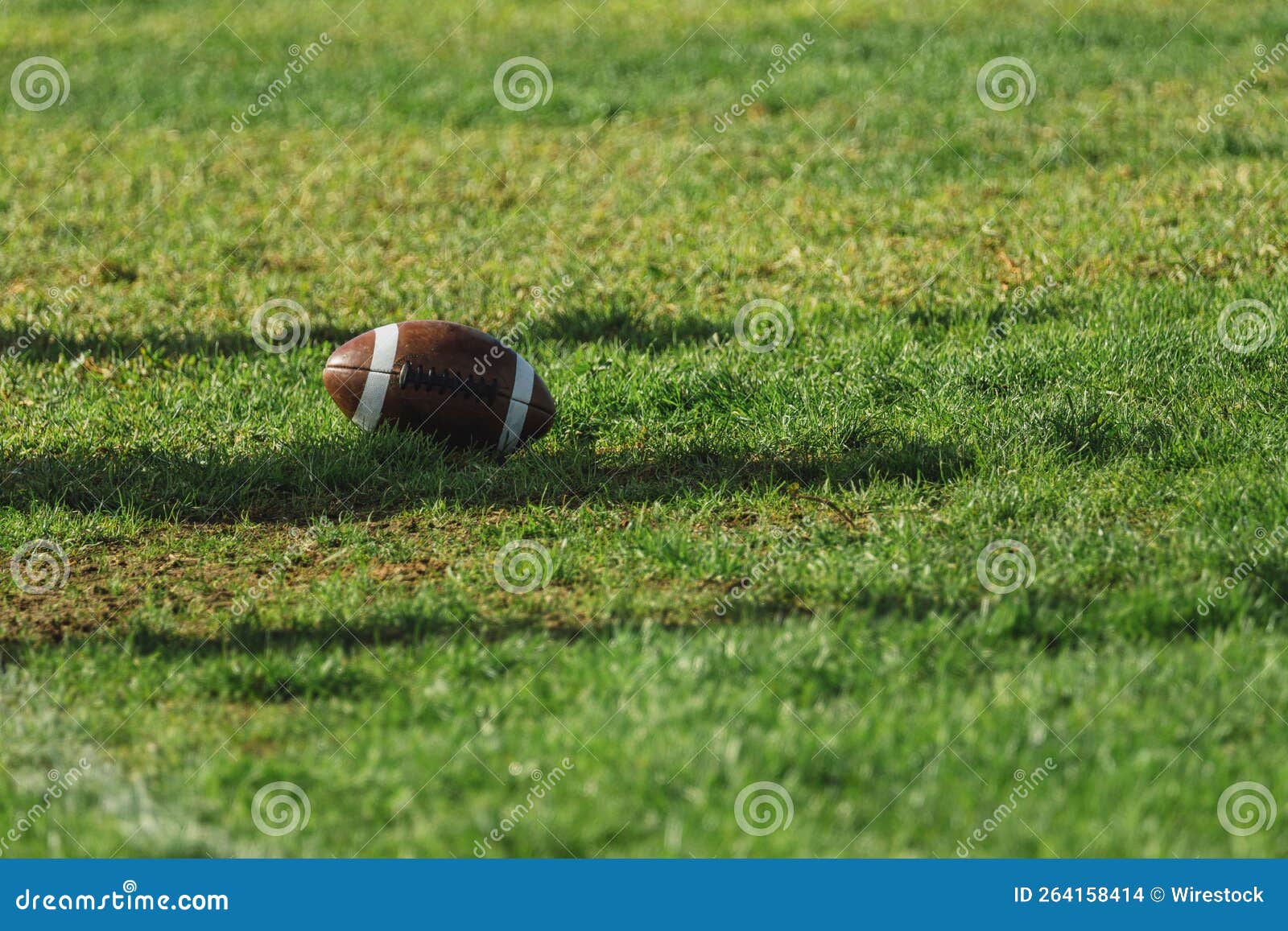 Gridiron Ball, Also Called a Pigskin, on the Green Grass. Stock Photo ...