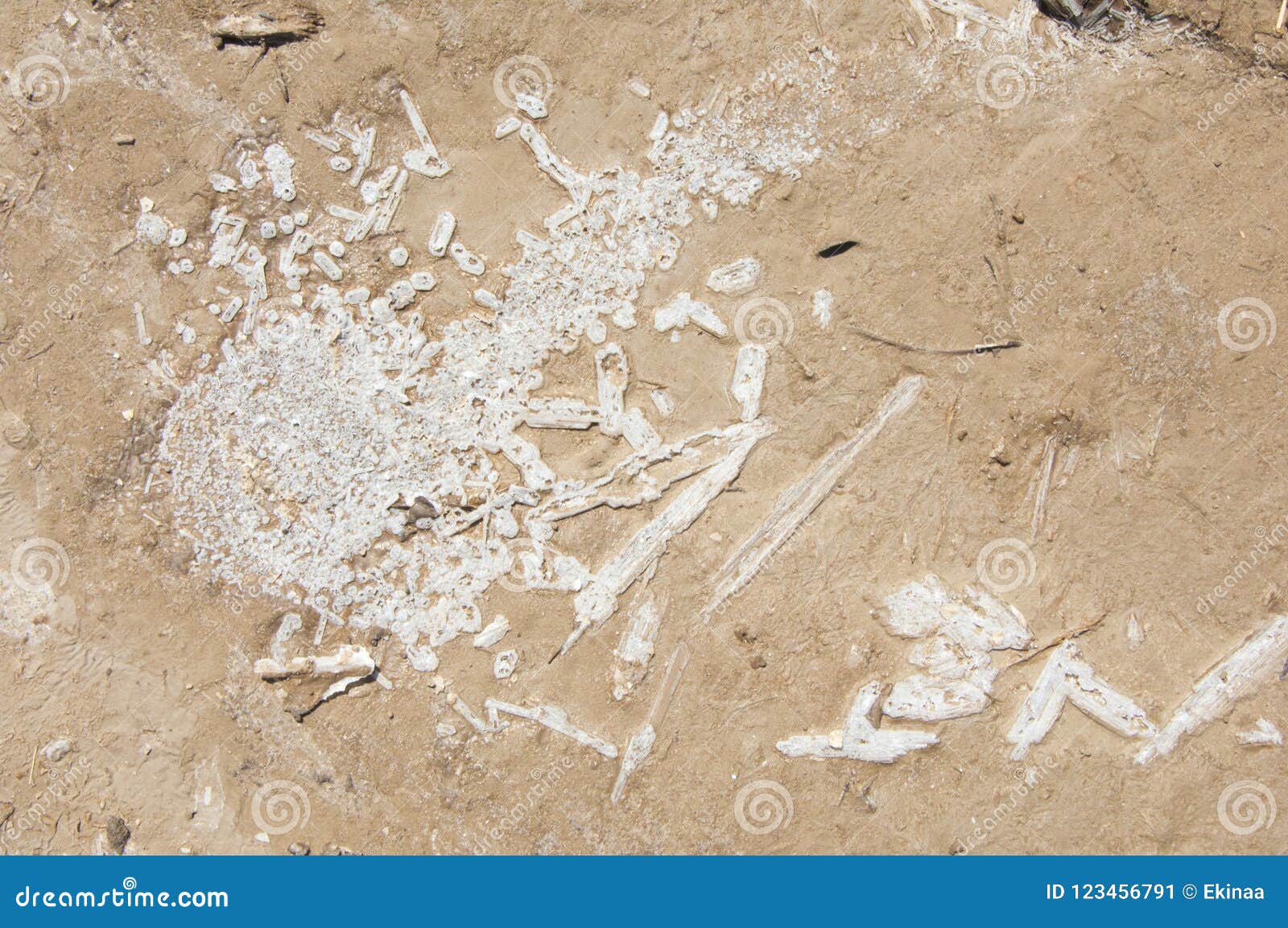 Grietas En La Textura De Tierra Imagen de archivo - Imagen de ambiental ...