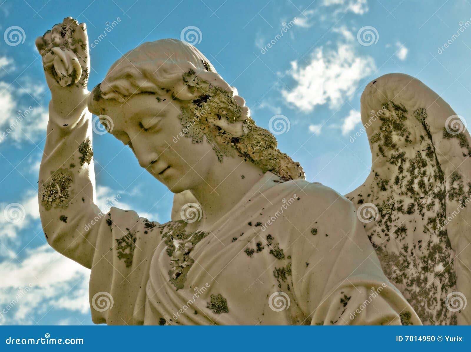 Grieving Angel stock photo. Image of cemetery, funeral - 7014950