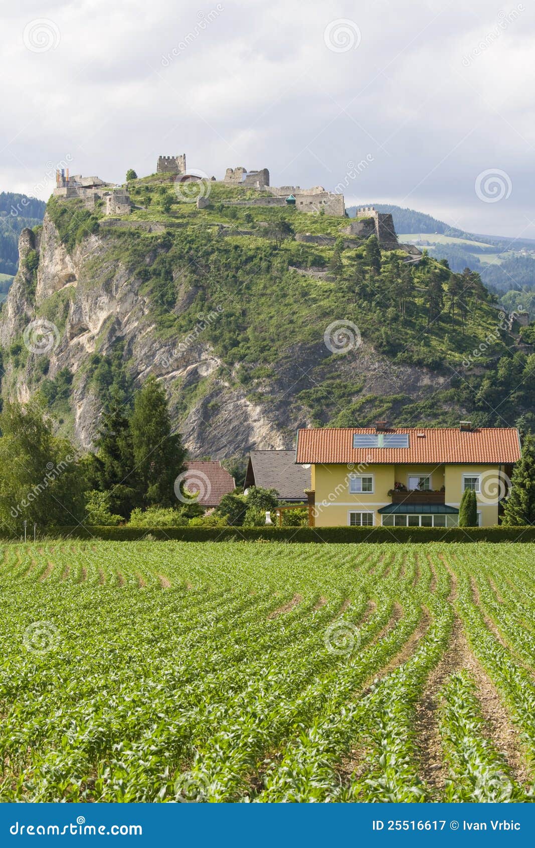 Griffen Castle on the Cliff Stock Image - Image of cliff, castle: 25516617