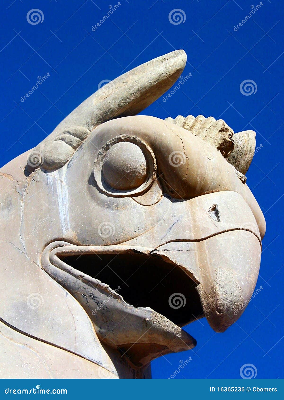 Griffin, Eagle s head stock photo. Image of eagle, ancient - 16365236