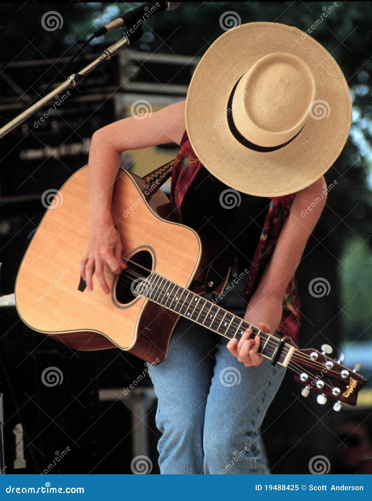 Griffioen redactionele afbeelding. Image of griffie, presteert - 19488425