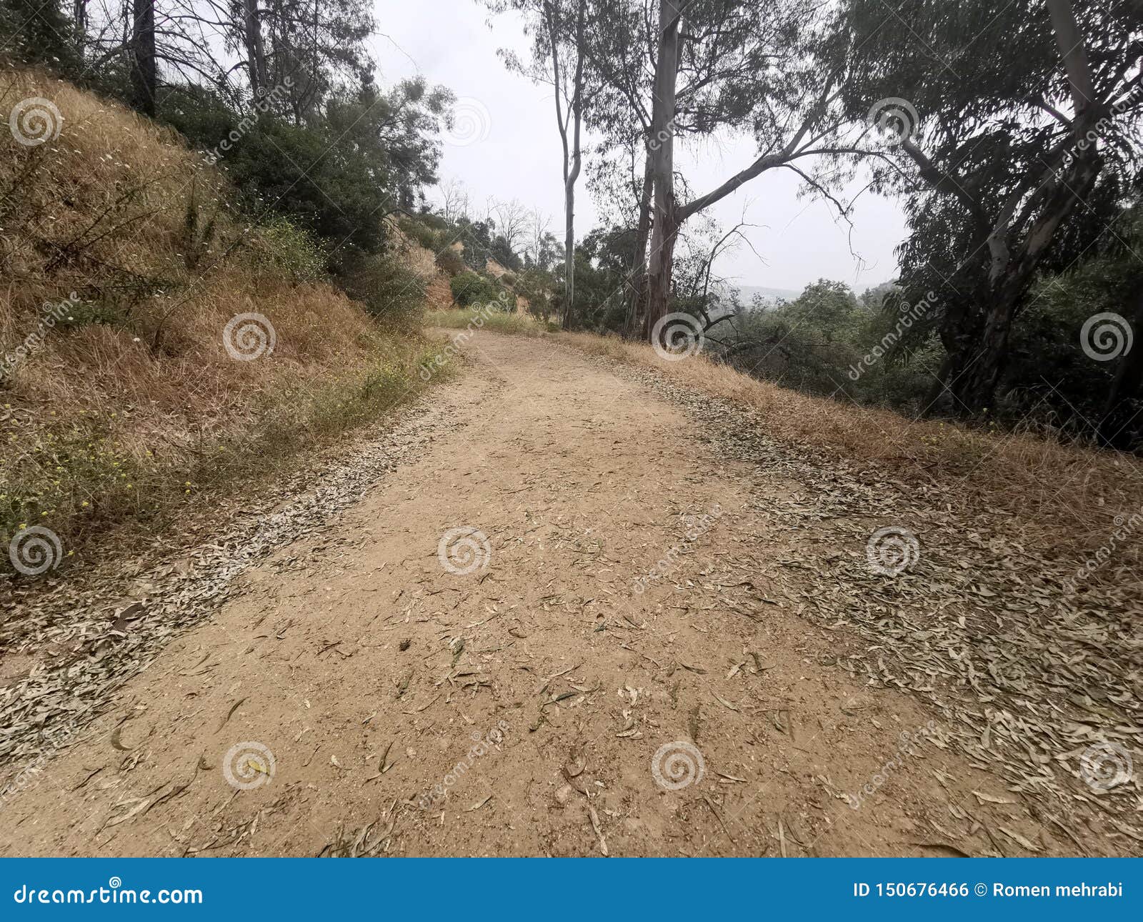 Griffith Park hike stock photo. Image of nature, hike - 150676466