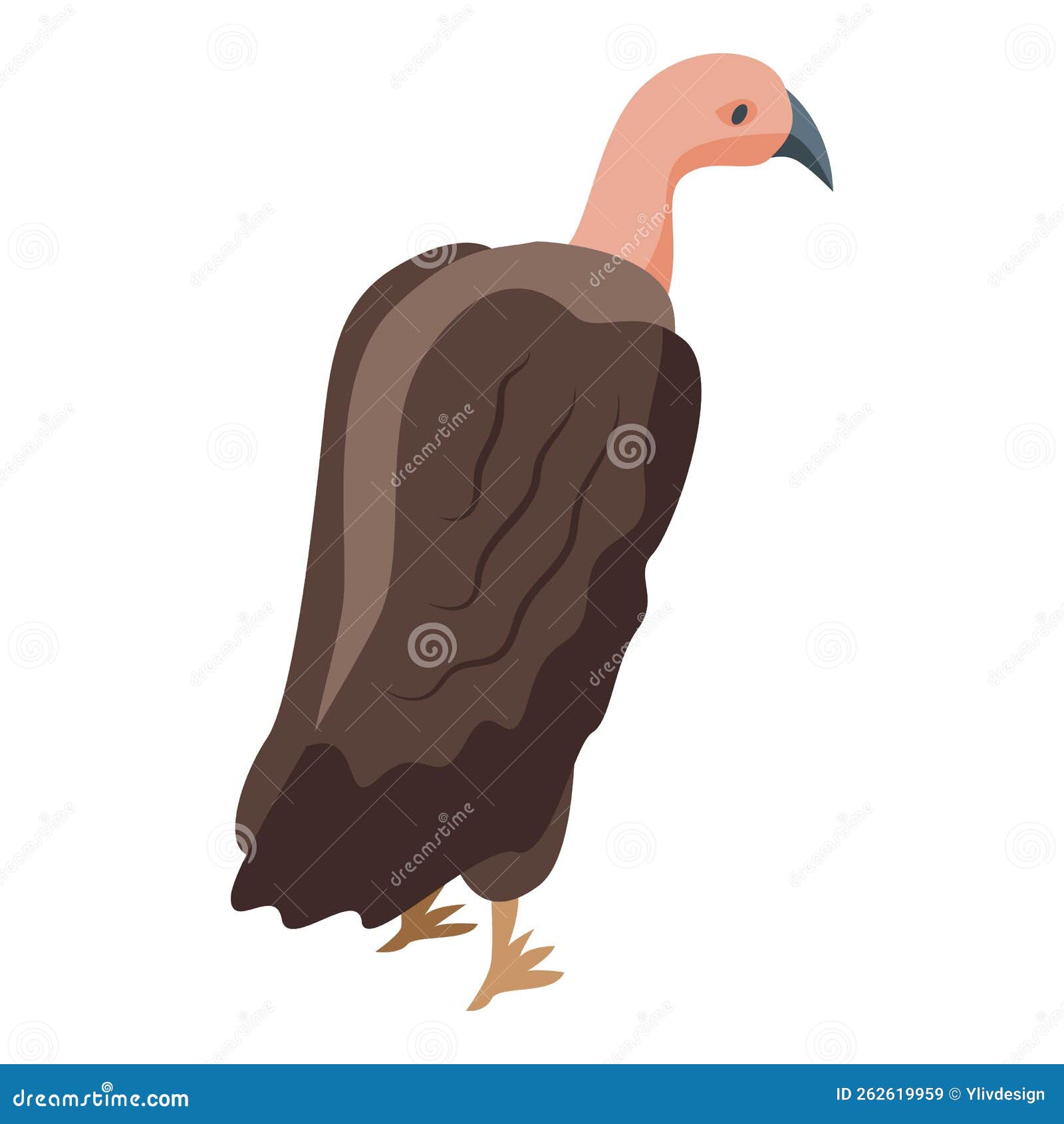 Griffin Vulture Rock Nest Flat Cartoon Vector Wild Animals Birds ...