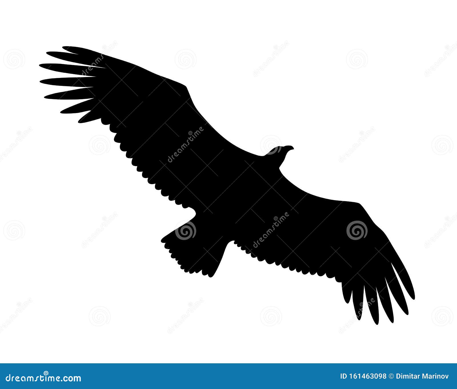 Griffon vulture stock vector. Illustration of flying - 161463098