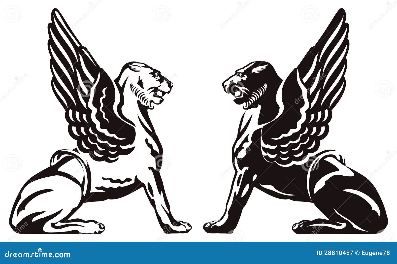 Grifo ilustração do vetor. Ilustração de emblema, grifo - 28810457