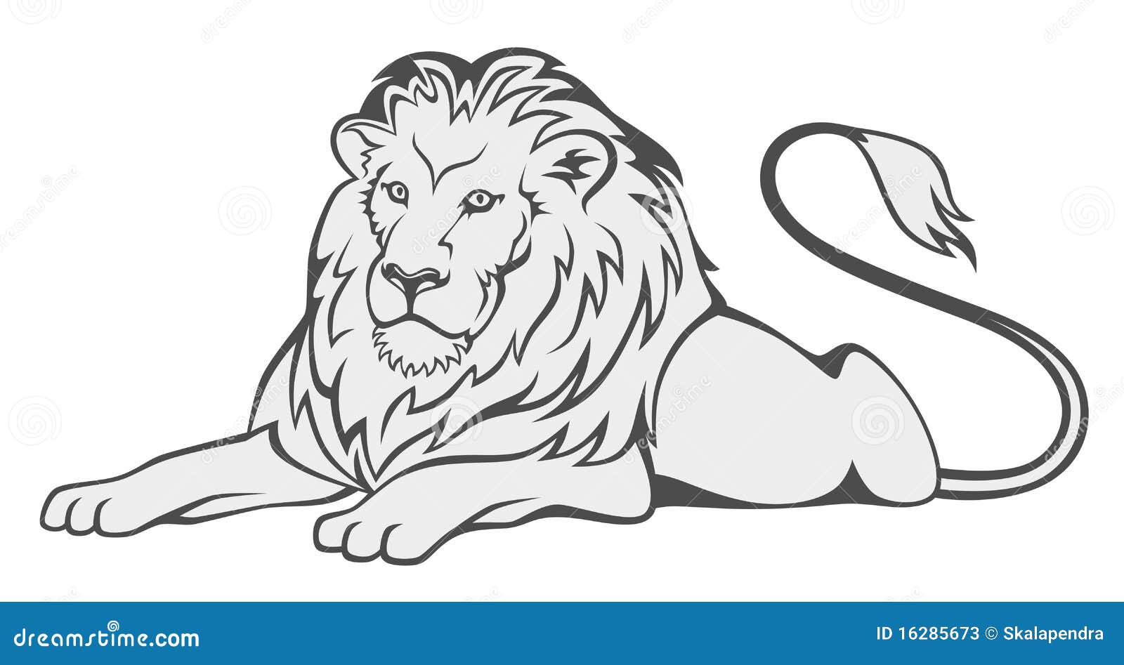 Grijze leeuw vector illustratie. Illustration of illustratie - 16285673