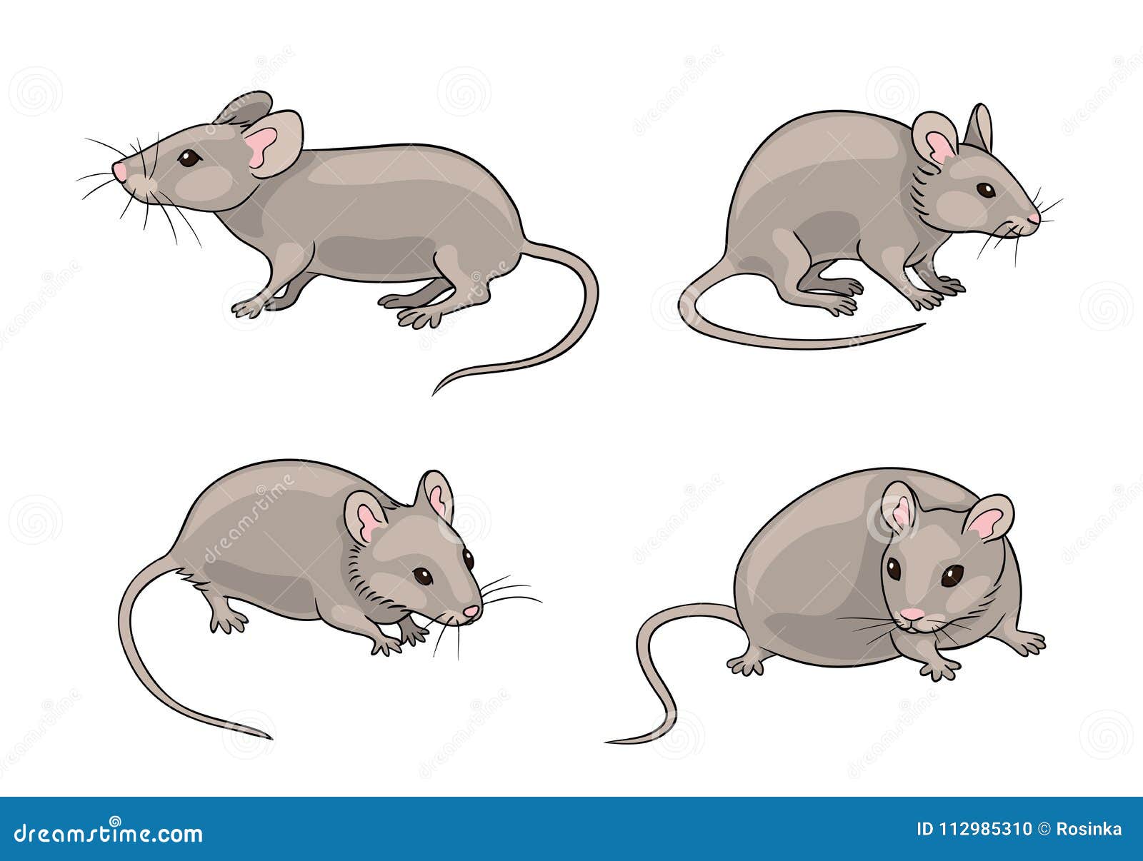 Grijze Muizen - Vectorillustratie Vector Illustratie - Illustration of ...