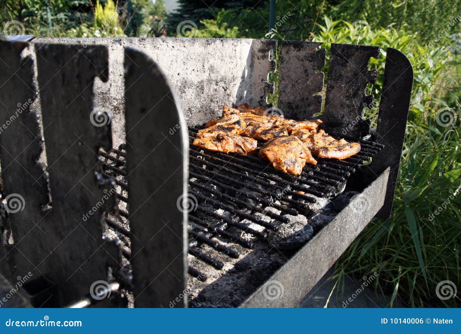 Grill stock photo. Image of barbecue, meat, turkey, lunch - 10140006